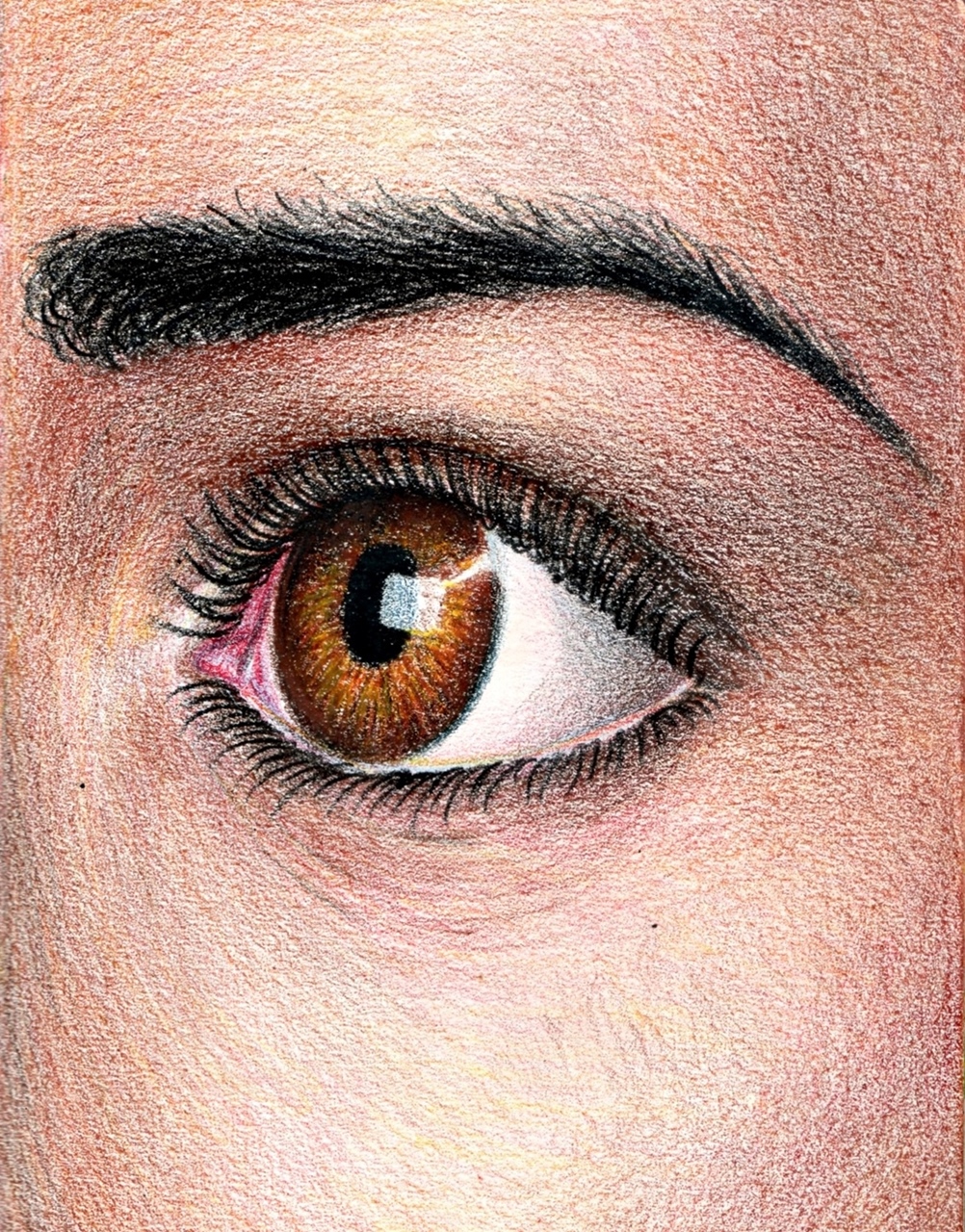 O Olhar Também Precisa Aprender A Enxergar - LIBRAIN