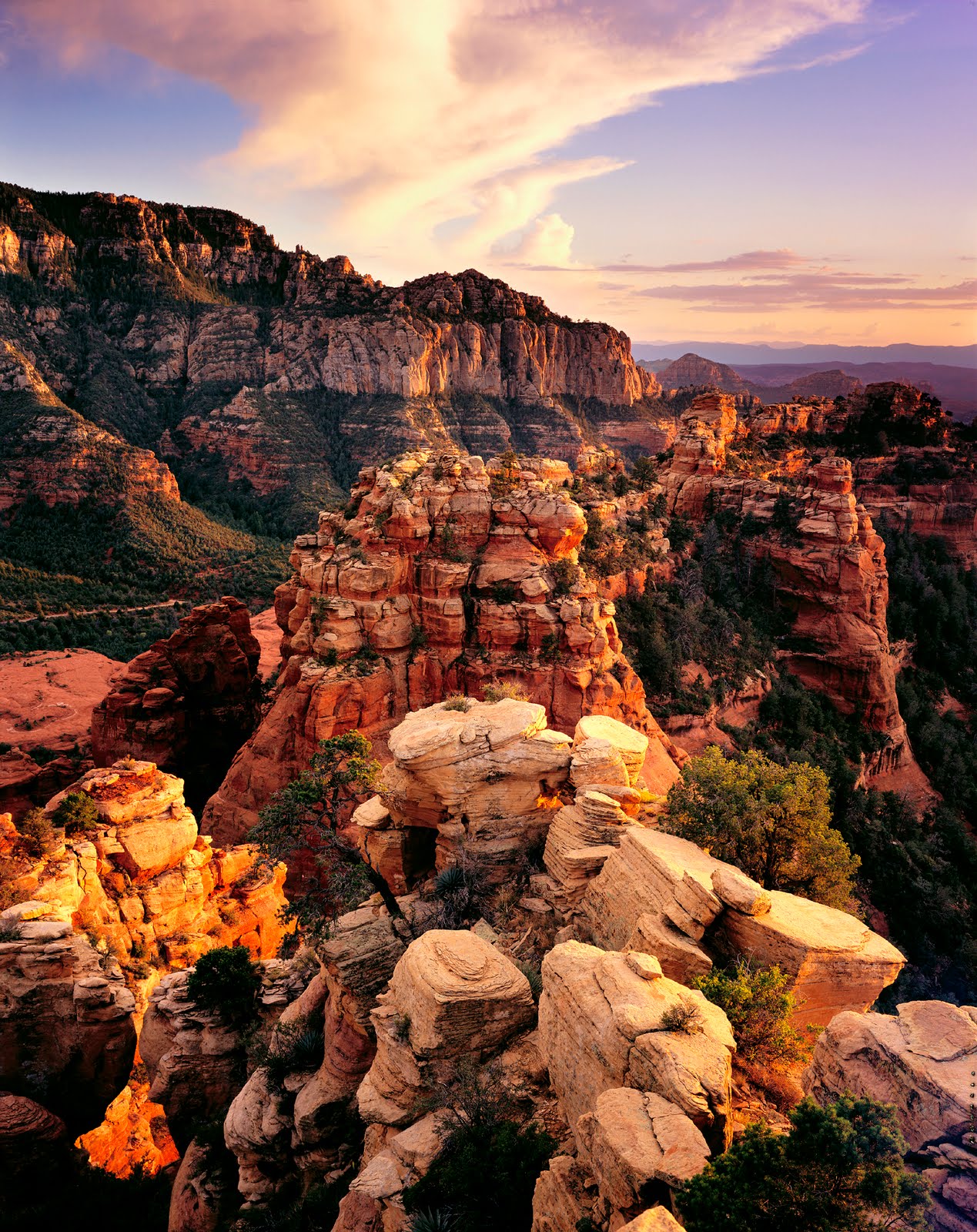 Ian Whitehead Photography