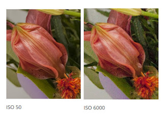 pengertian ISO, Fungsi dan cara pengeturannya pada Kamera DSLR - Tips ...