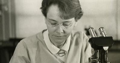 Autobiografias Cortas