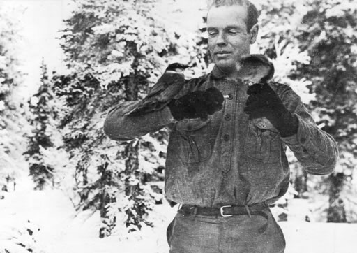 BRIC-À-BRAC: DENALI NATIONAL PARK. Los lugares salvajes no permanecen ...