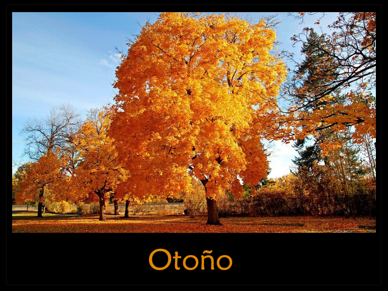 Recursos para el aula de lengua: Spanish season names.