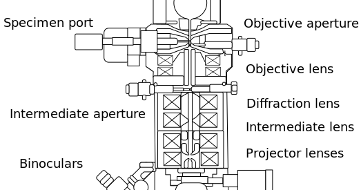 Transmission Electron Microscopy (TEM) - Nanotechnology