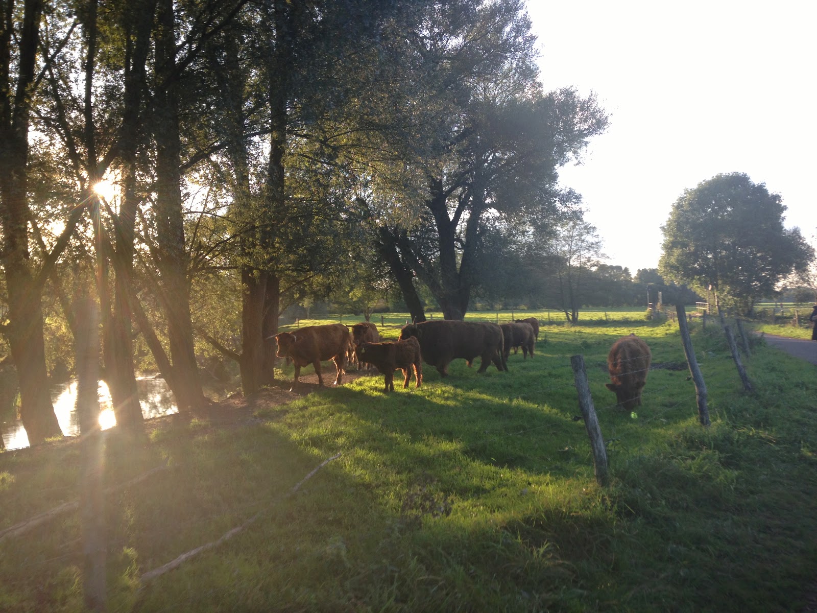 Laufend gebloggt: Groß- und Kleinbundenbach