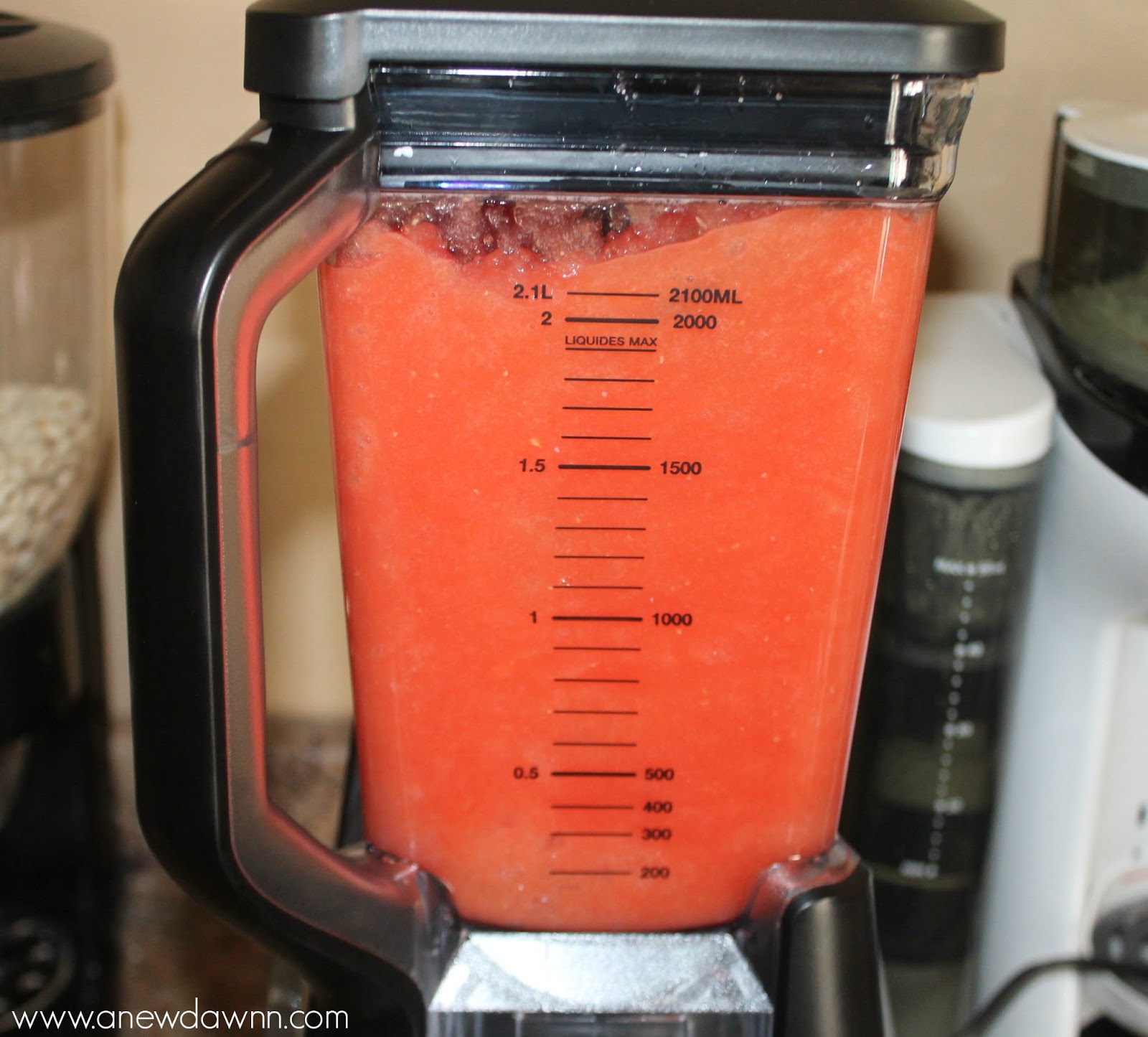 Watermelon Paleta Recipe - A New Dawnn