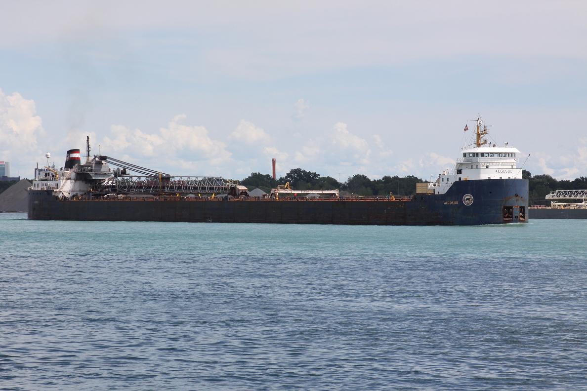 Michigan Exposures: The Algosoo Again