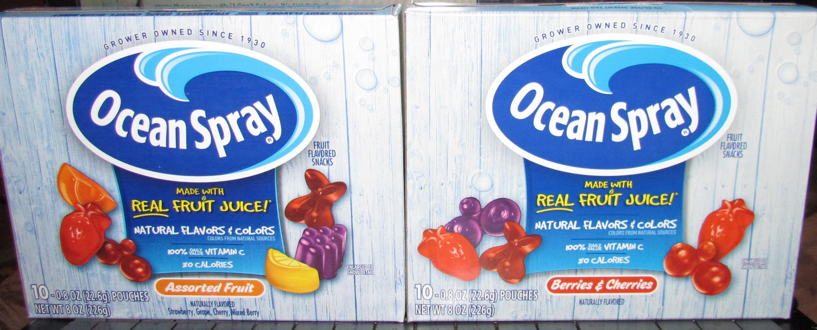 New Ocean Spray Fruit Flavored Snacks | Southern Blessings