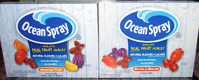 New Ocean Spray Fruit Flavored Snacks | Southern Blessings