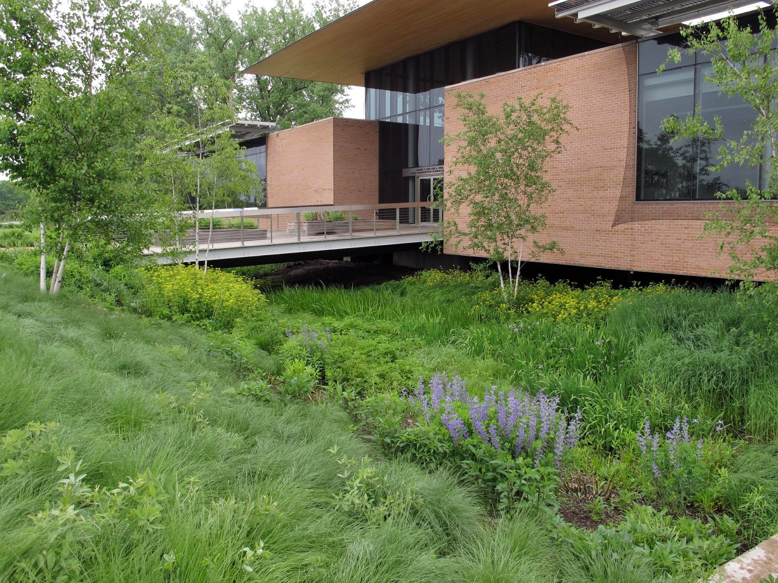 En el jardin: Jardín Botánico de Chicago: vale la pena.