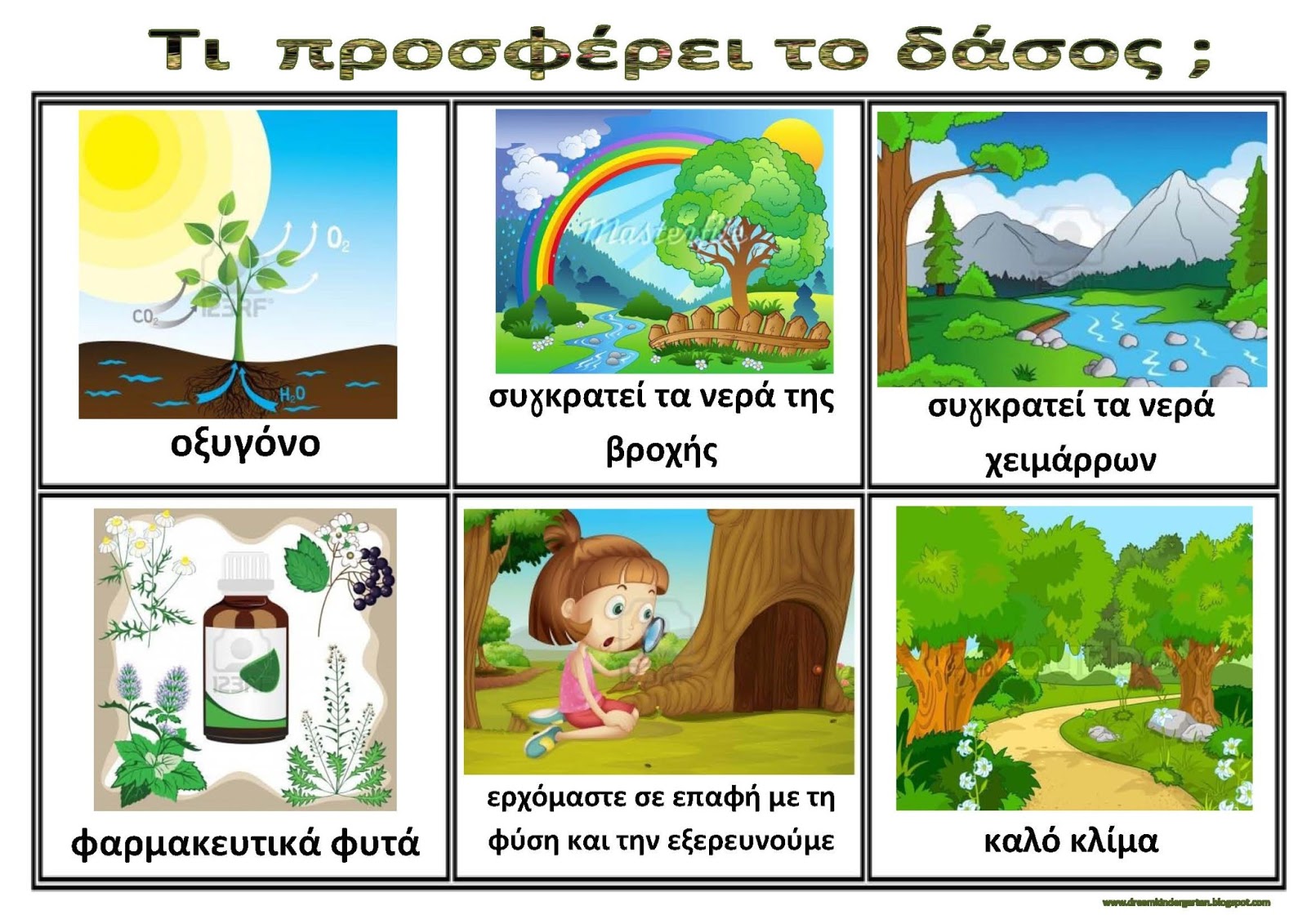 Το νέο νηπιαγωγείο που ονειρεύομαι : Πίνακες αναφοράς για το δάσος