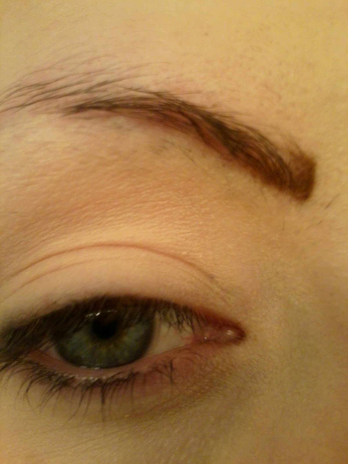 Skin care... Not for the faint of face.: Let's talk eyebrows.