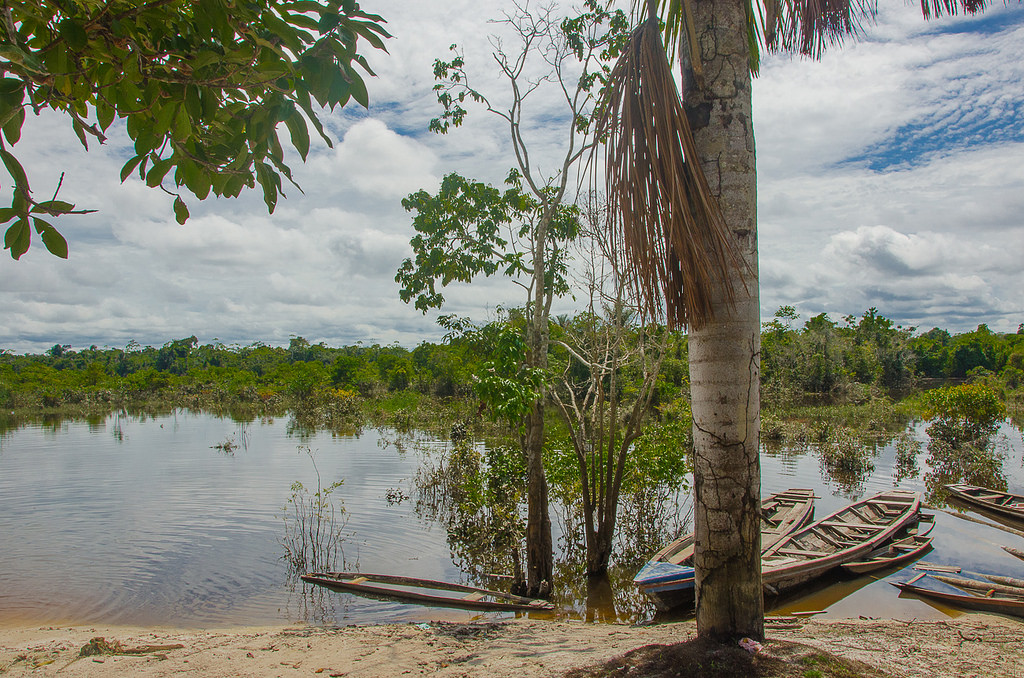 Iquitos y alrededores, entrar en la selva del Amazonas peruano | Viajes ...