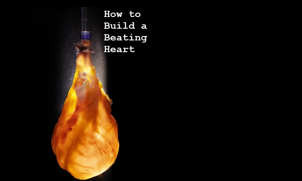 Far Future Horizons : How to Build A Human Heart