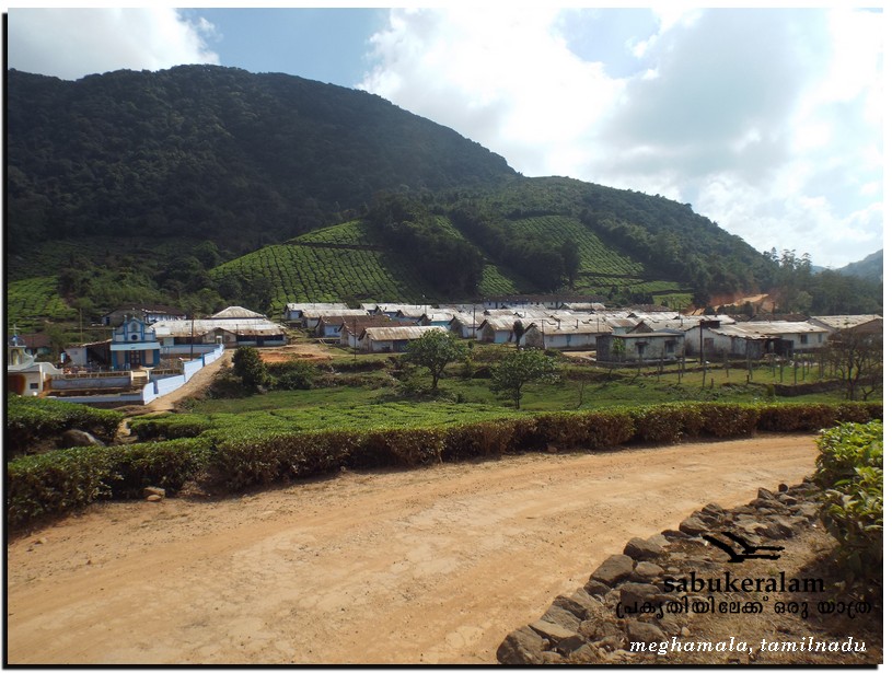 പ്രകൃതിയിലേക്ക് ഒരു യാത്ര (a travel towards NATURE): മേഘങ്ങളിറങ്ങുന്ന ...