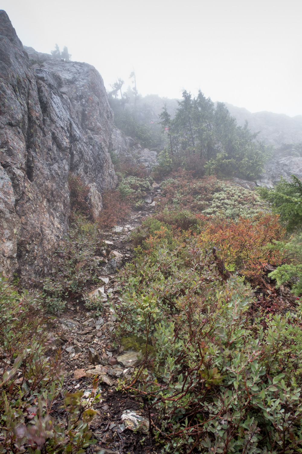 Climbing Mount Kitchener and the High Point on the Ridge - Explorington