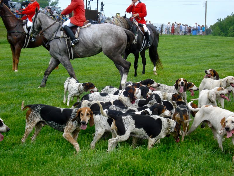 Alexandra D. Foster Destinations Perfected: Winterthur, Delaware ...