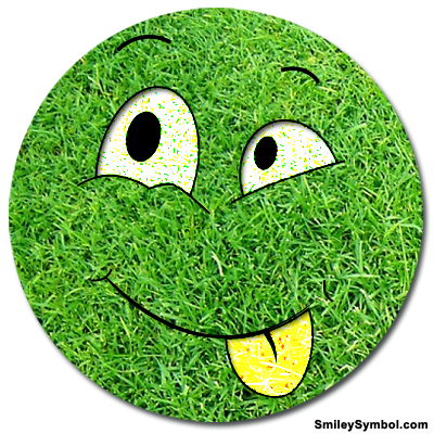 Stunningly Designed Grass Smiley | Smiley Symbol