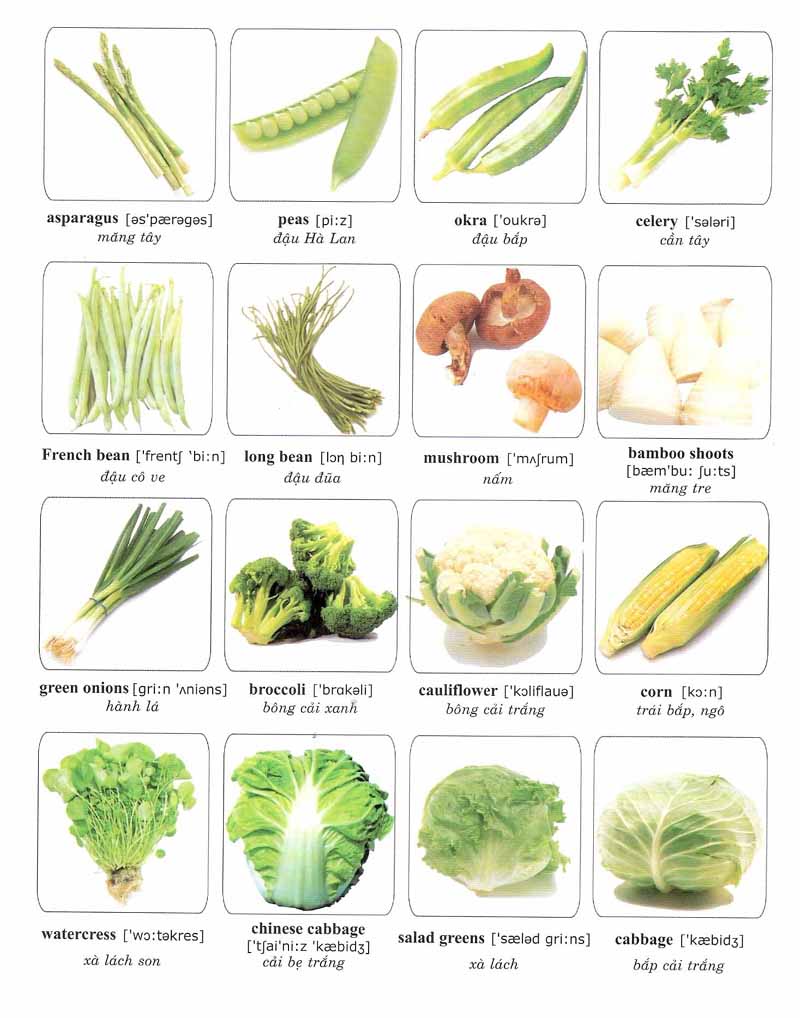Learning Vocabulary with Pictures: Vegetables 2