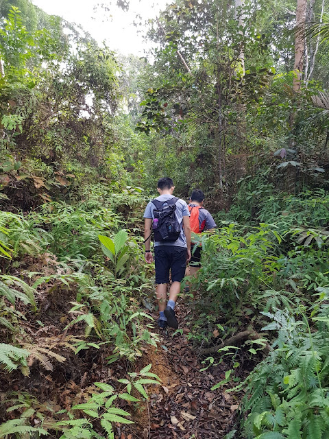 Tengkil Falls - An Off-Road Adventure To Hidden Waterfall | Catchingtravels