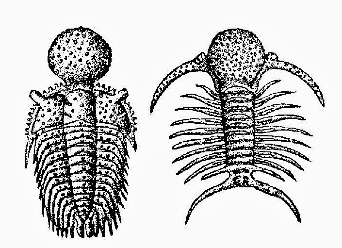 History of the Earth: April 5. More trilobites