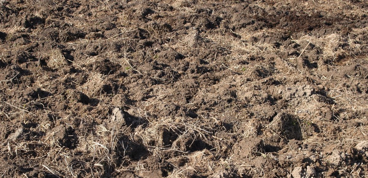 sauvajyvänen: Vuoden kuukaudet