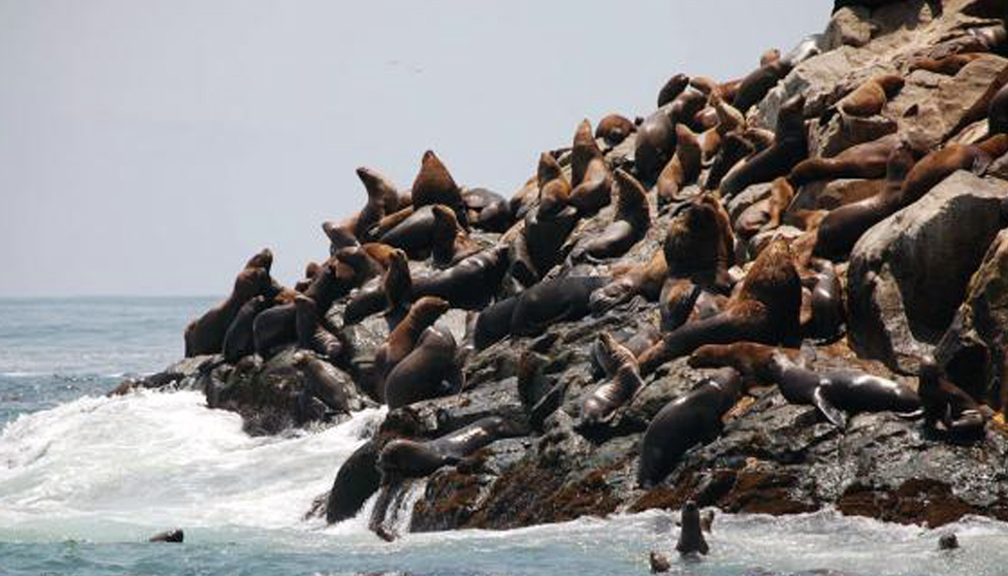 Perú: País de Maravillas: Callao