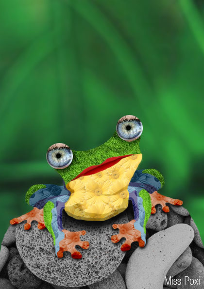 Cuentos Para Niños: Cuentos para niños: La ranita de la voz linda