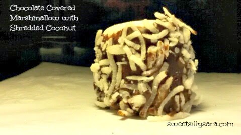Sweet Silly Sara: Chocolate Covered Marshmallow with Coconut