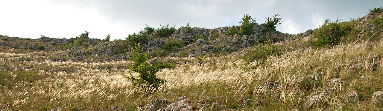 FotoBlogul lui Mihai C.: Colilia din Cheile Tureni