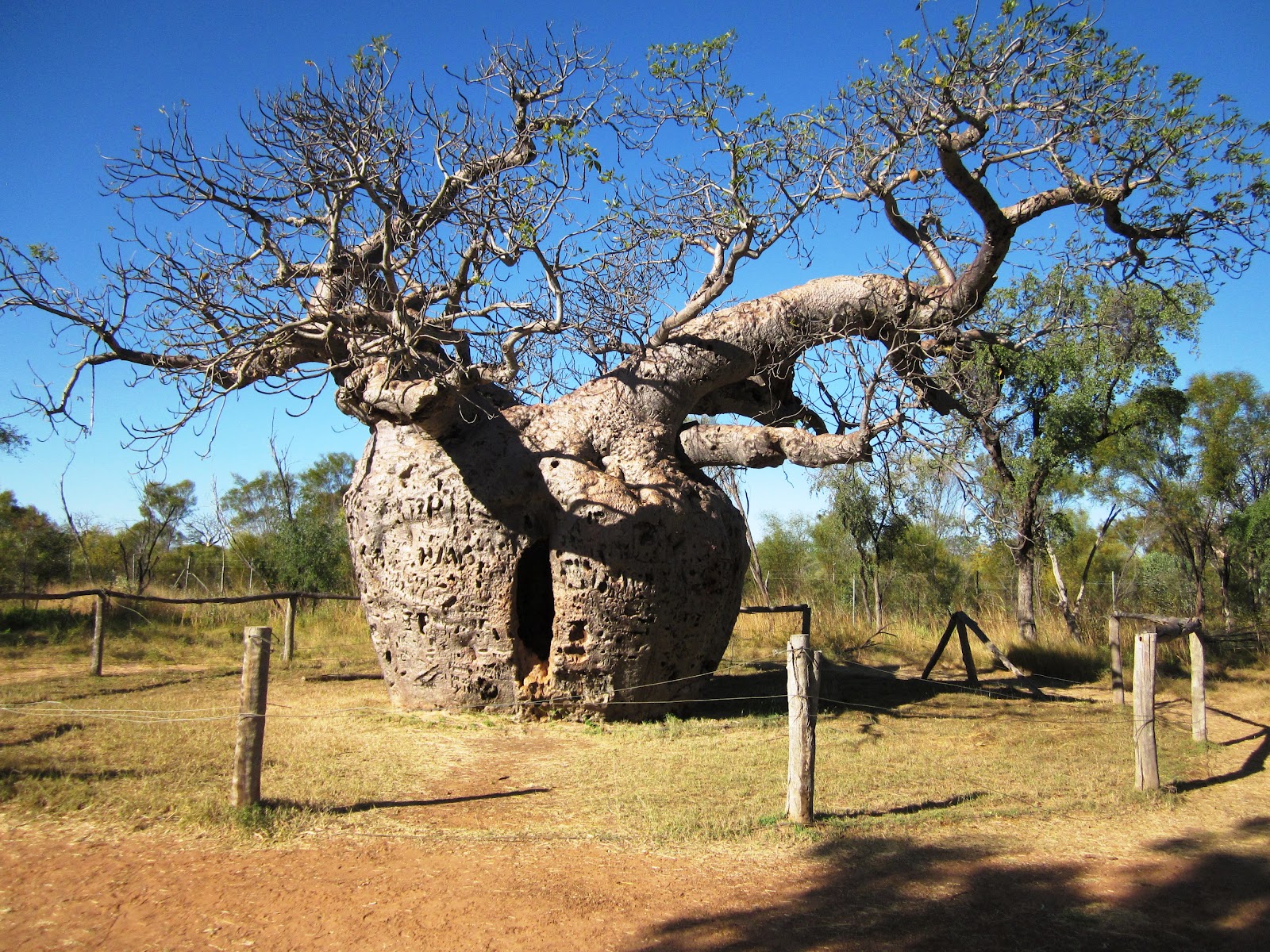 Crawf and Sue On the Move: Wednesday, May 30, 2012