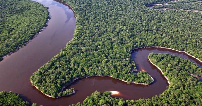 Dziedzictwo UNESCO: Obszar Chroniony Środkowej Amazonki. Brazylia 2000