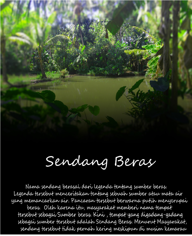 Katalog Potensi Desa Wisata Wringinputih Muncar ~ Konservasi Mangrove ...