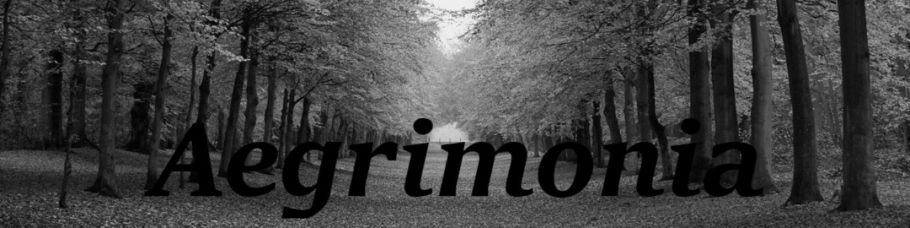 Aegrimonia: Luna Pythonissam