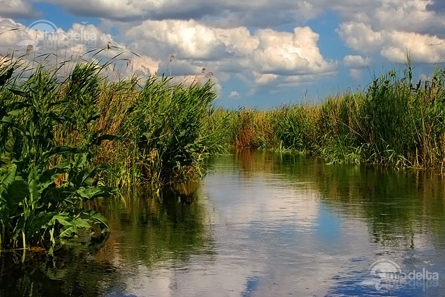 Micii geografi: Delta Dunării - un laborator viu al naturii