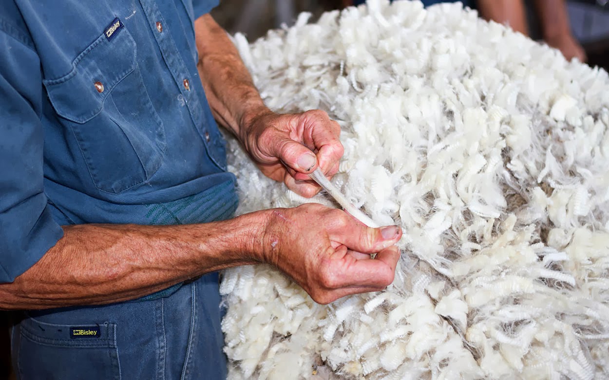 WhatsaCatchyTitleforaBlog