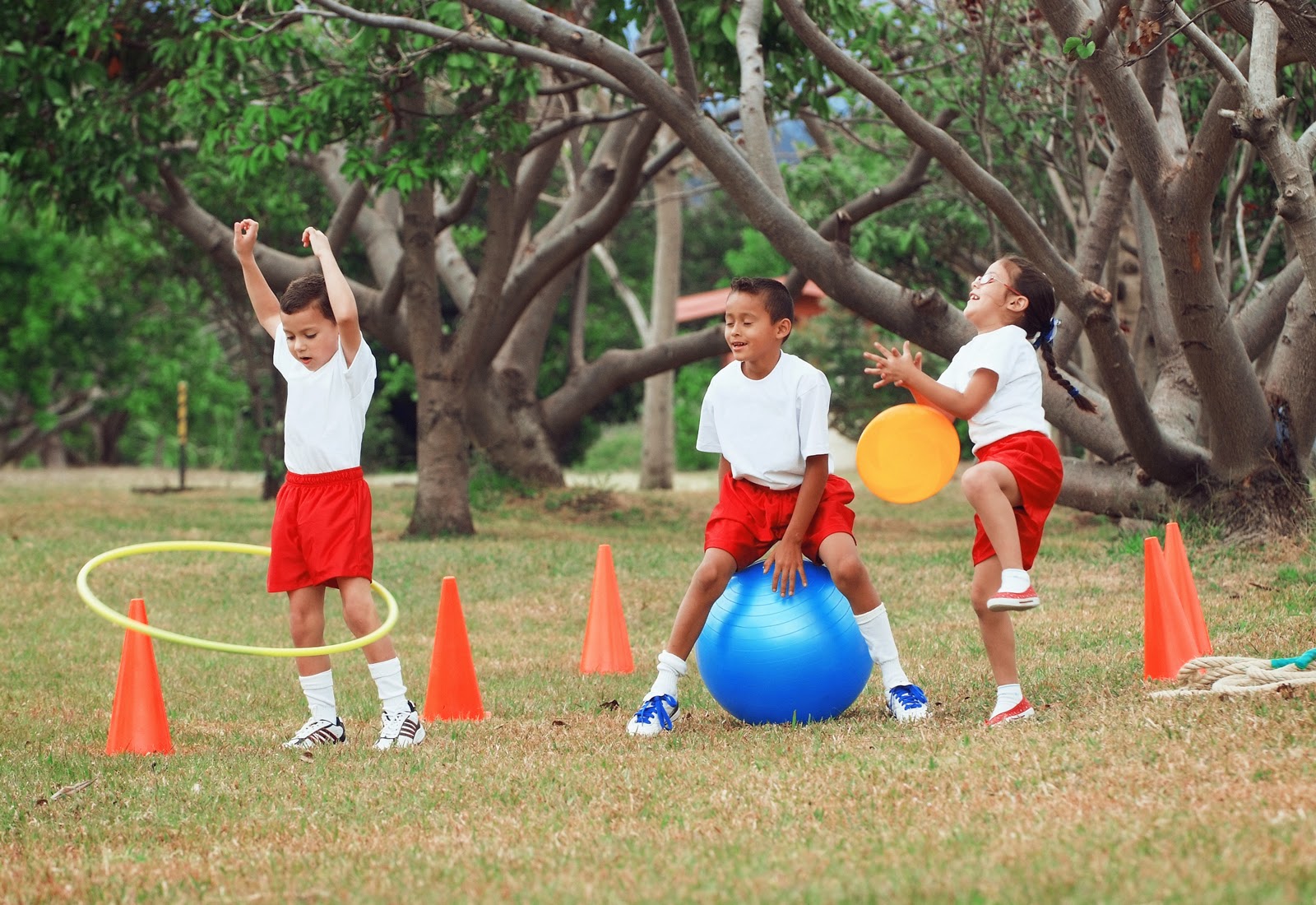 Intensidad Física en la Basica: octubre 2014