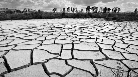 French Vocabulary Illustrated: tarir