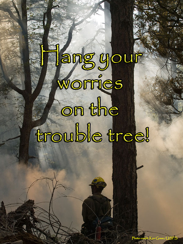 Wildland Fire Leadership: What is Your 'Trouble Tree'?