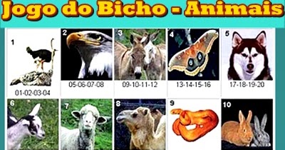 Bom Lero: A história do jogo do bicho