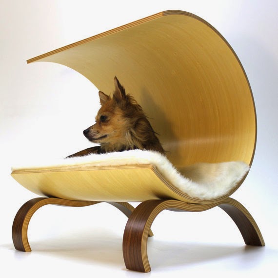 The Specter Journal: The Dog Pod 2.0