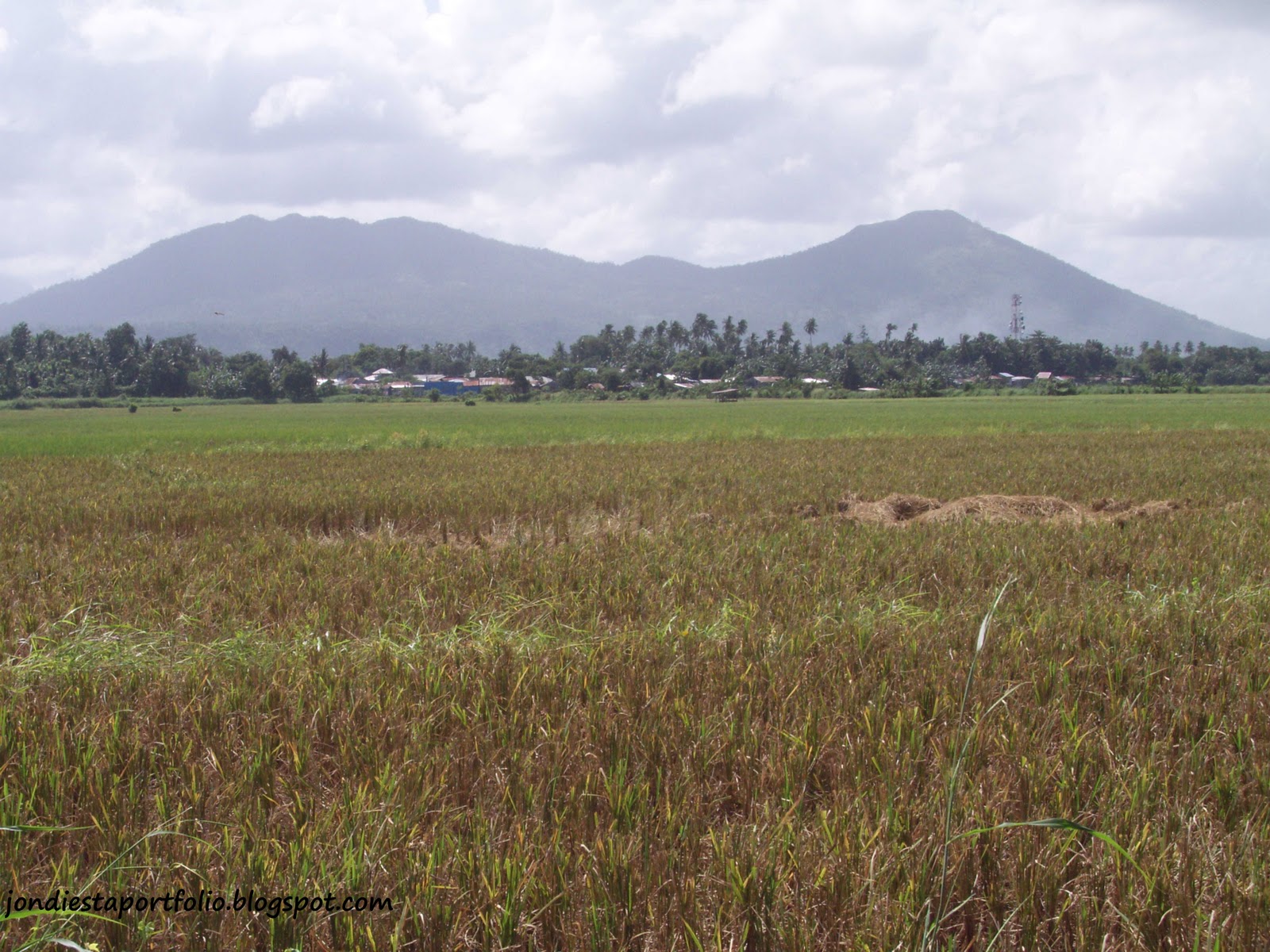 Perspectives in White Scratch Papers: Navigating Laguna Loop: Victoria