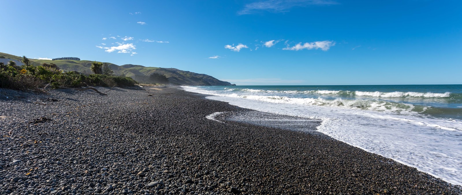 A Kiwi at the camera: Gore Bay