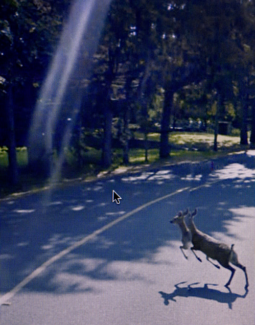 secret little gem: tripped out tuesday