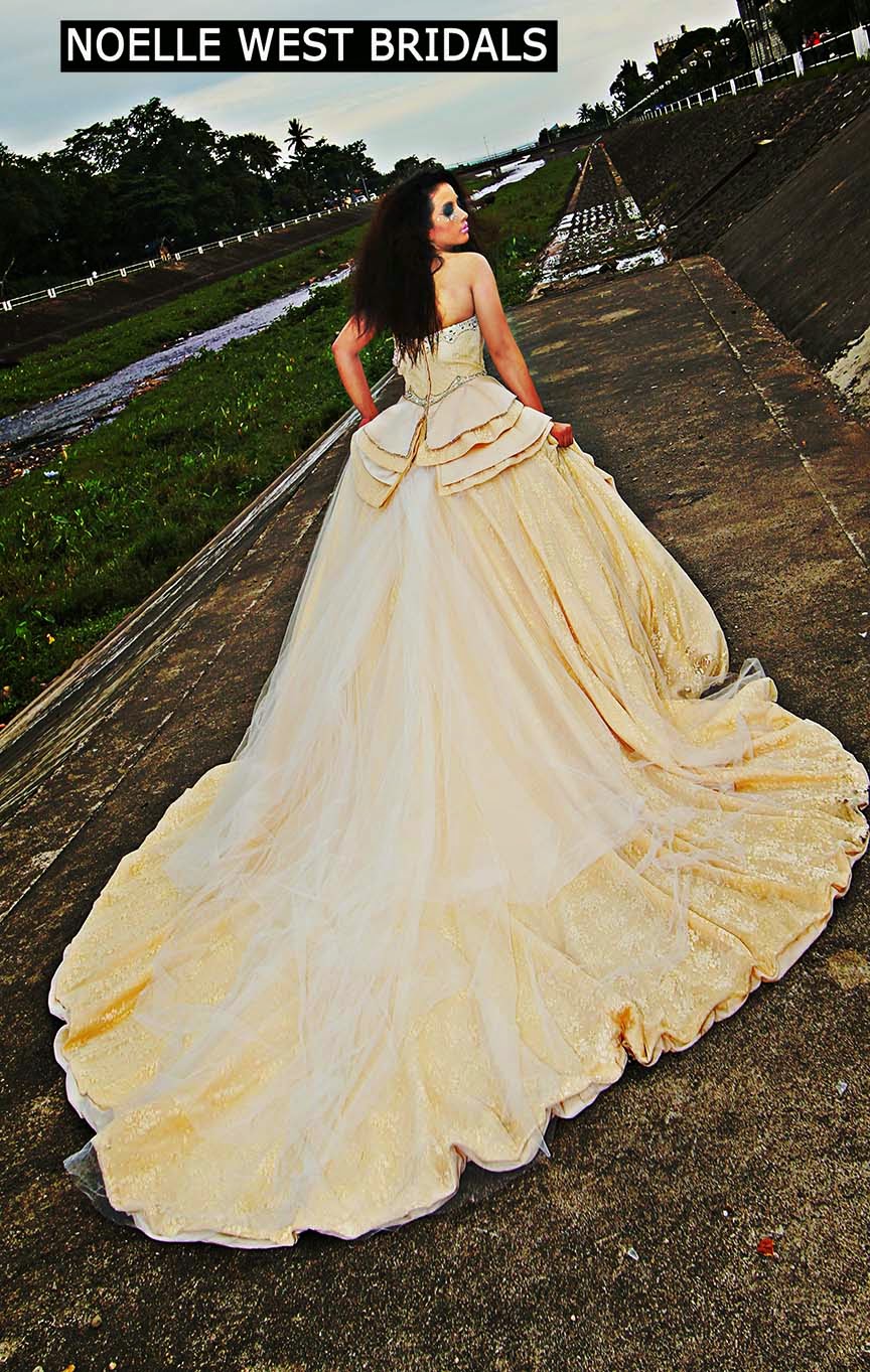 Noelle West Bridals: 2014