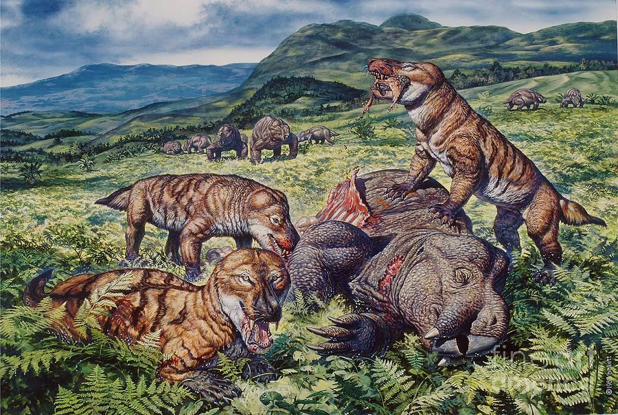 Theropoda: Il sinapside presbite, la scimmia stereoscopica, ed il ...