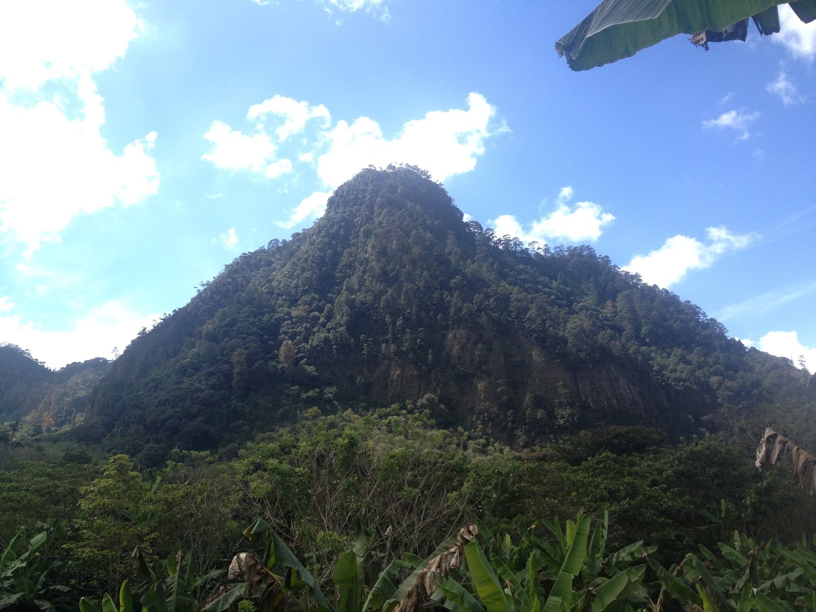My Naturals Photos: Cerro Tenan, El Balsamo, Copan