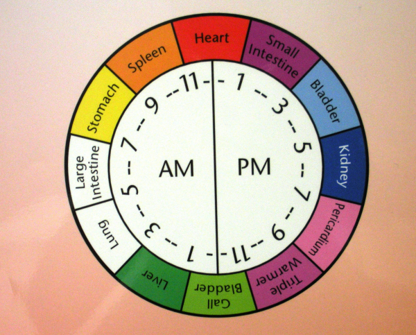 Do You Know Your Organ Clock?
