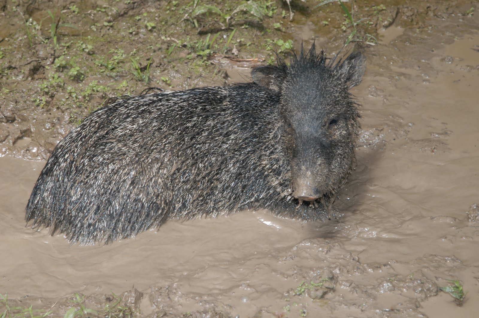 CONSERVACION PRIVADA