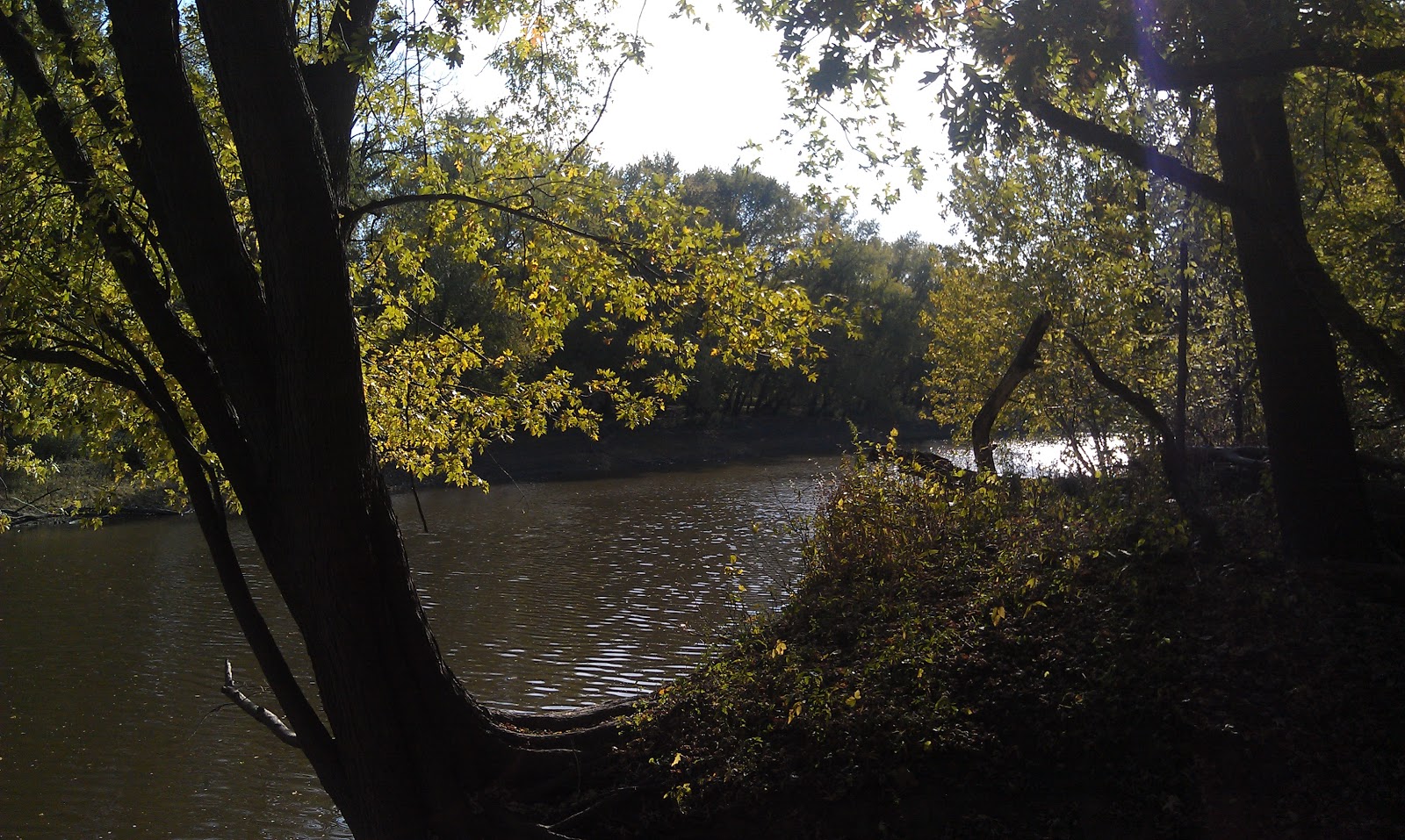 Carpenter Park in Springfield IL