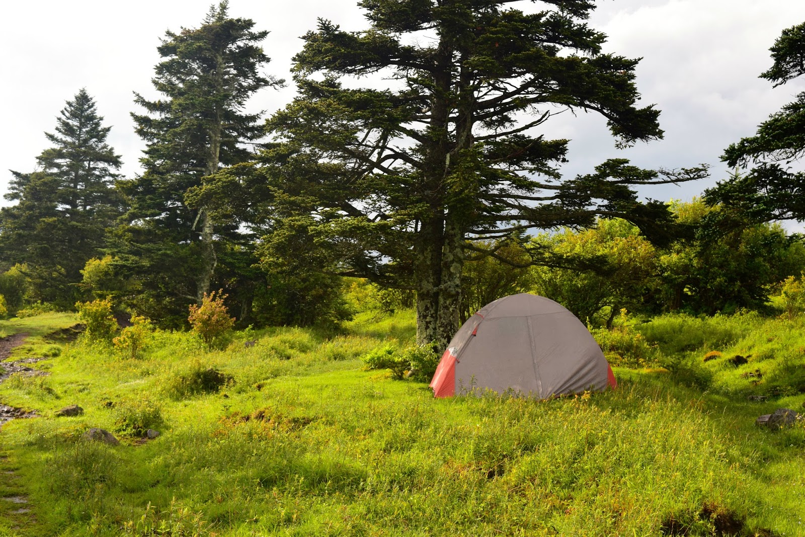 Appalachian Love: Backpacking In Mount Rogers National Recreation Area ...